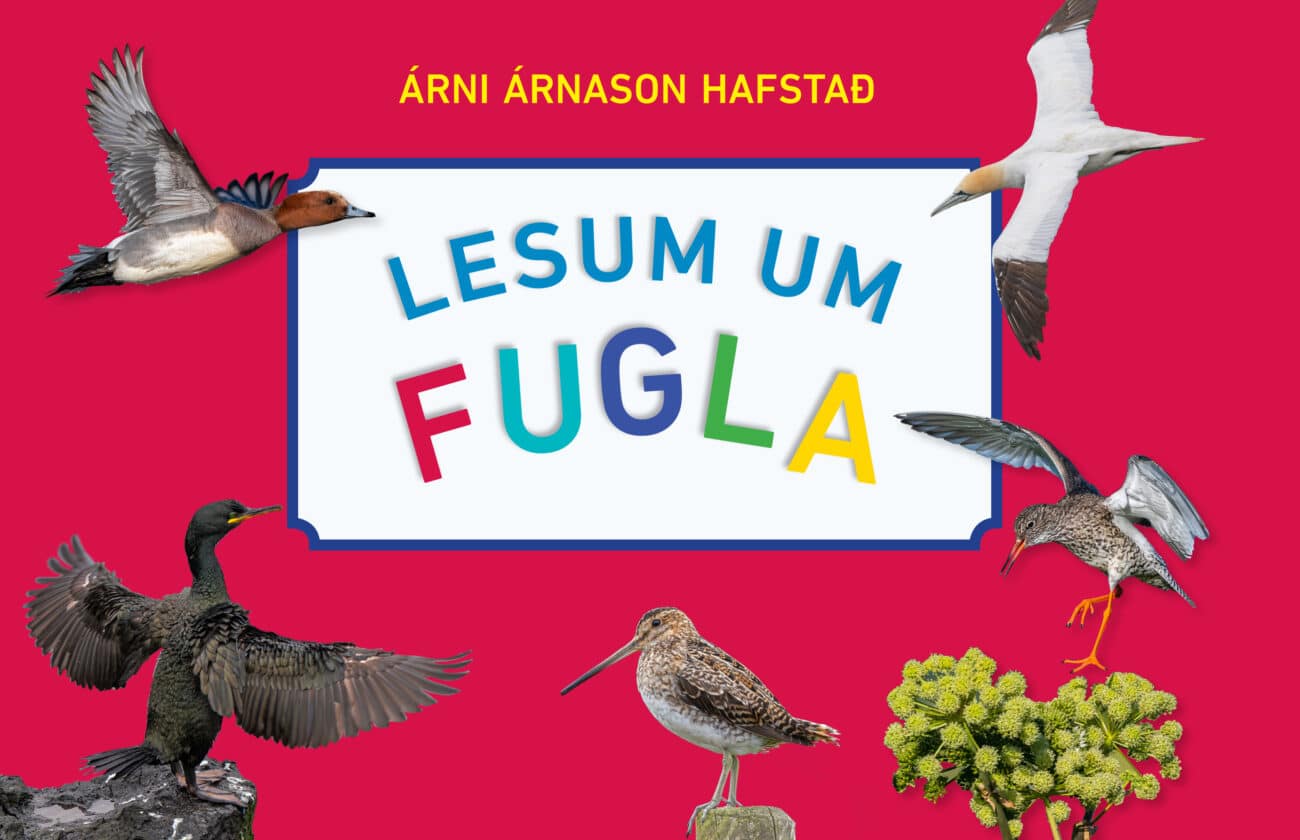 Ljósmyndar fugla á Suðurlandi og víðar | sunnlenska.is